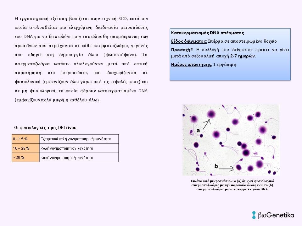 To DNA fragmentation και ο ρόλος του στην ανδρική υπογονιμότητα ...